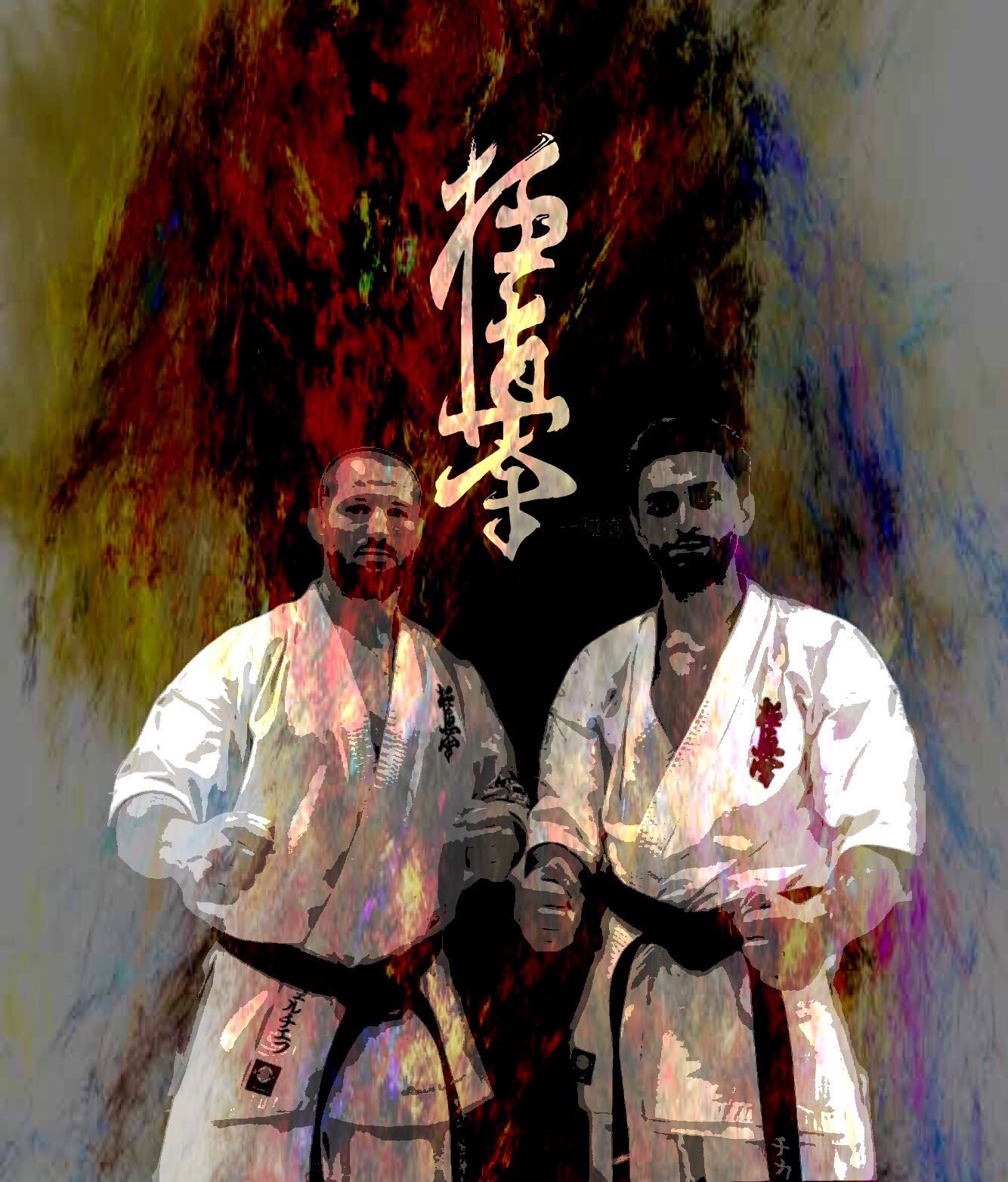 What Is Dogi Elite Martial Arts Richmond
