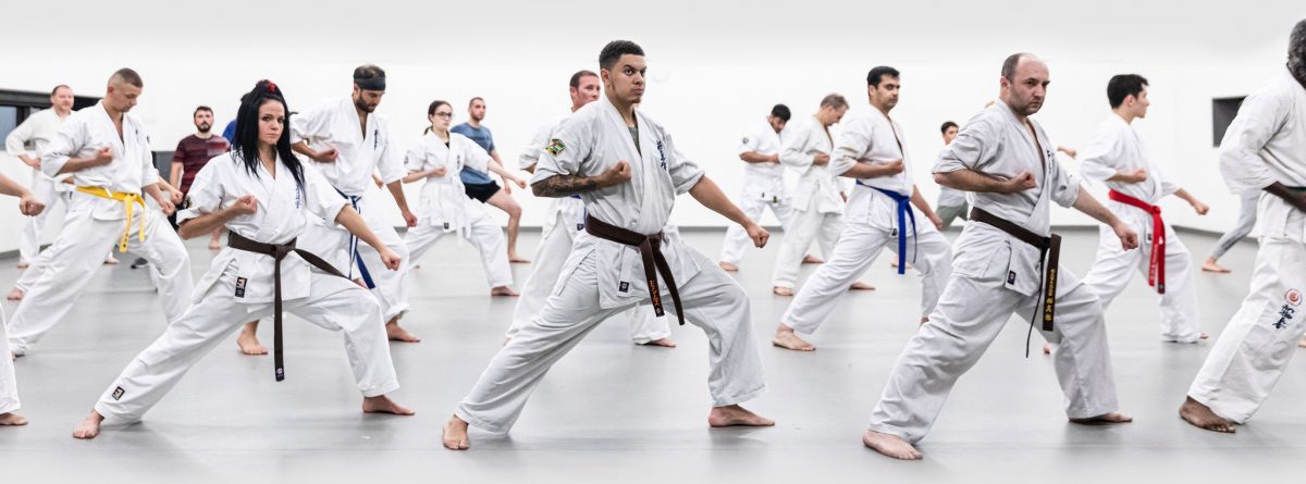 Award winning martial arts academy for kids and adults - Elite Martial ...
