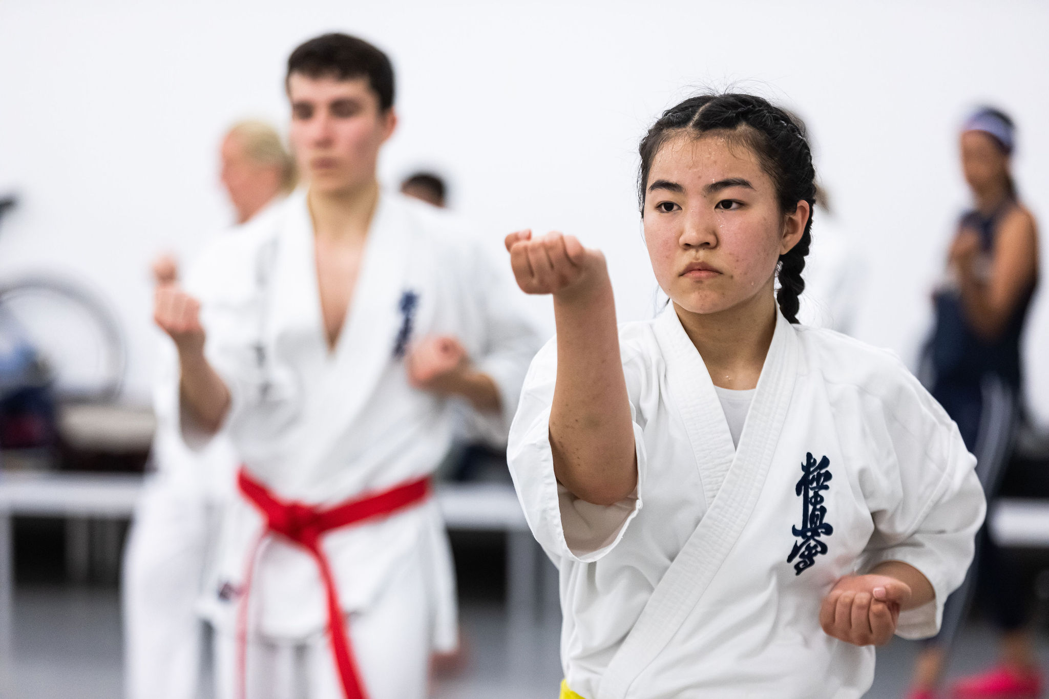 HISTORY AND MEANING OF KYOKUSHIN KARATE - Elite Martial Arts Richmond