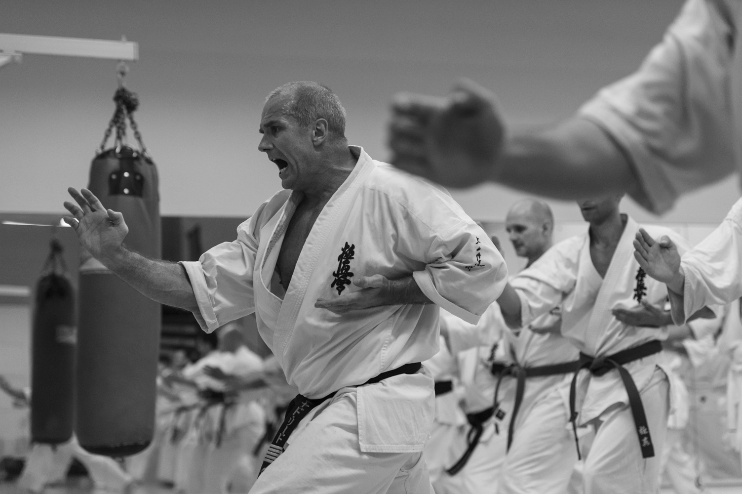 100 MAN KUMITE – THE ULTIMATE TEST IN KYOKUSHIN KARATE - Elite Martial ...