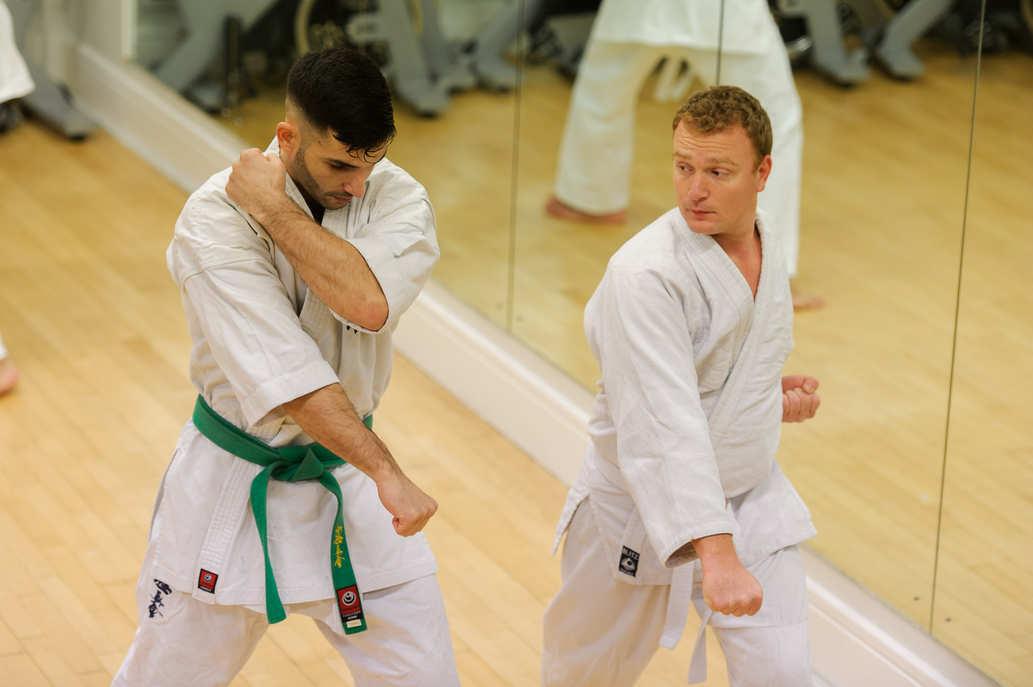 KARATE KYOKUSHIN KATA ORIGINS & MEANING - Elite Martial Arts Richmond